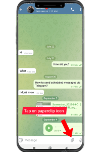 What Is The Telegram Audio Player? [2025 Updated]